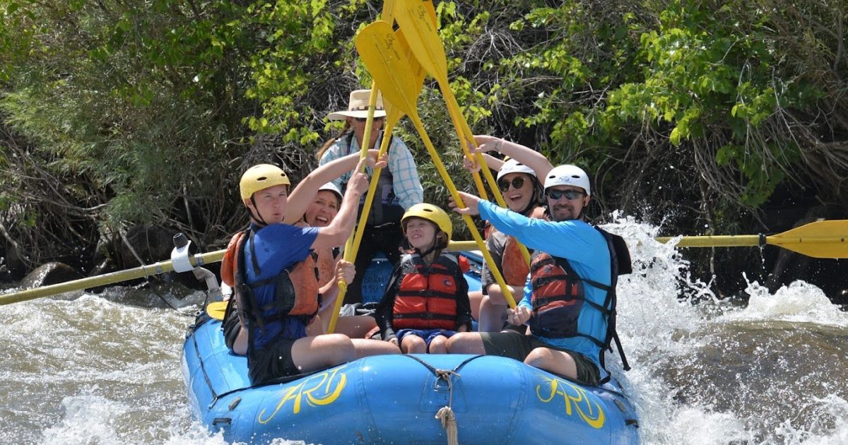 Success Stories / Destination Signals